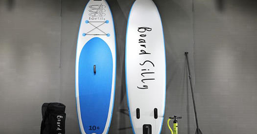 Board Silly – Board Silly 2020